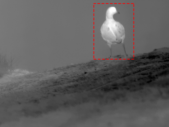 Automatic No-Reference Image Sharpness Assessment in Infrared Images ...